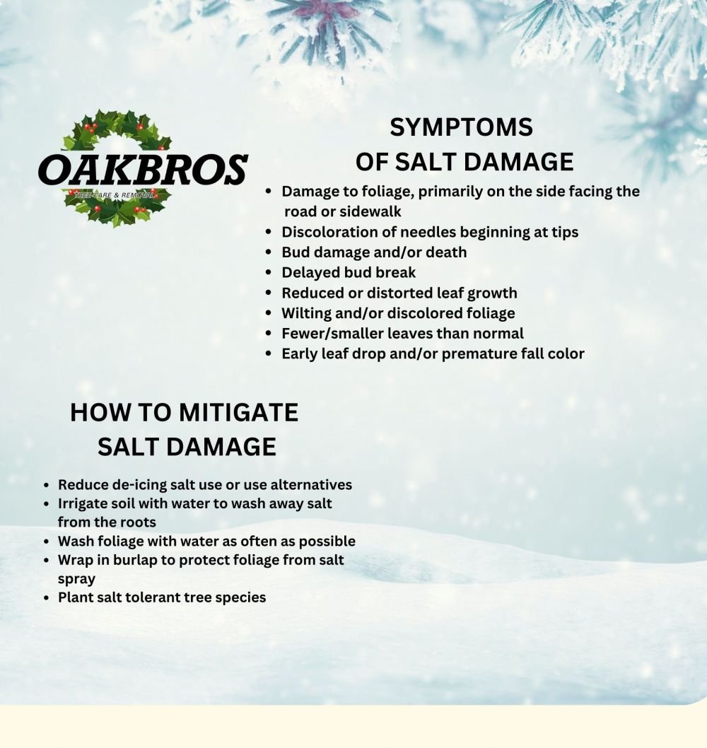 Symptoms of Salt Damage